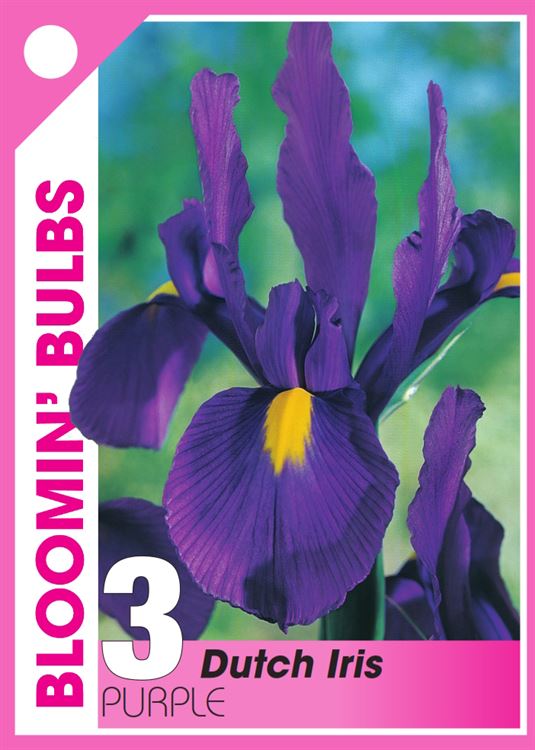 Bloomin Bulbs. Flower Bulbs