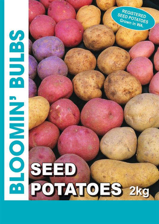 Bloomin Bulbs. Produce Bulbs