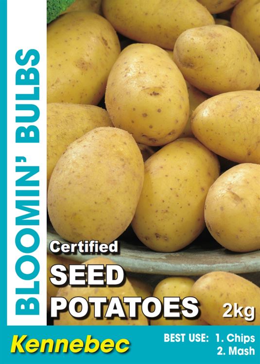 Bloomin Bulbs. Produce Bulbs