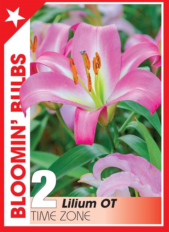 Bloomin Bulbs. Flower Bulbs