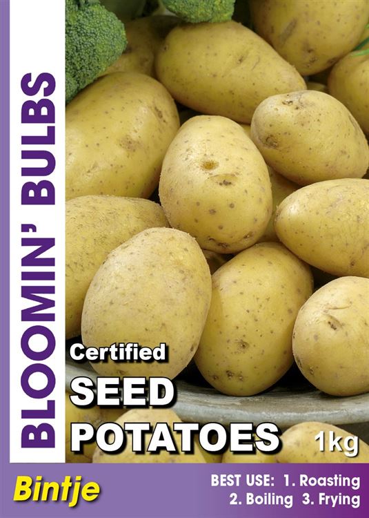 Bloomin Bulbs. Produce Bulbs