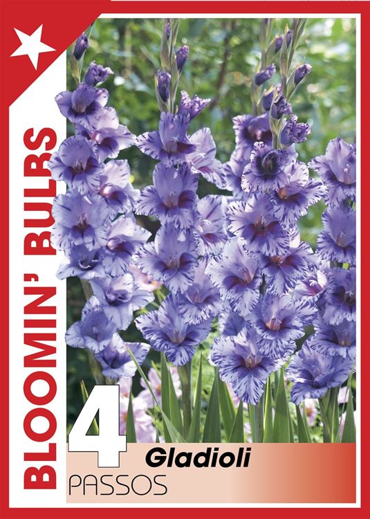 Bloomin Bulbs. Flower Bulbs
