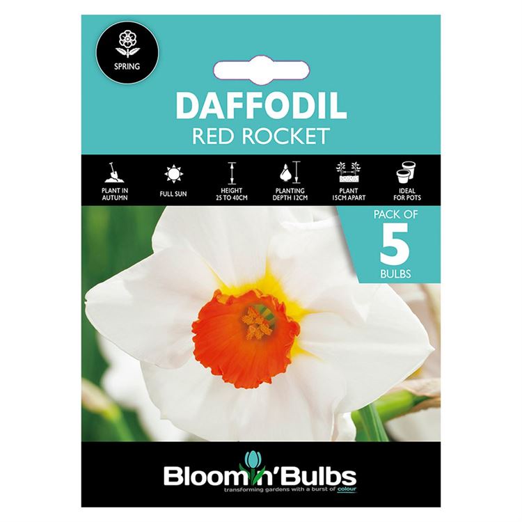 Bloomin Bulbs. Flower Bulbs