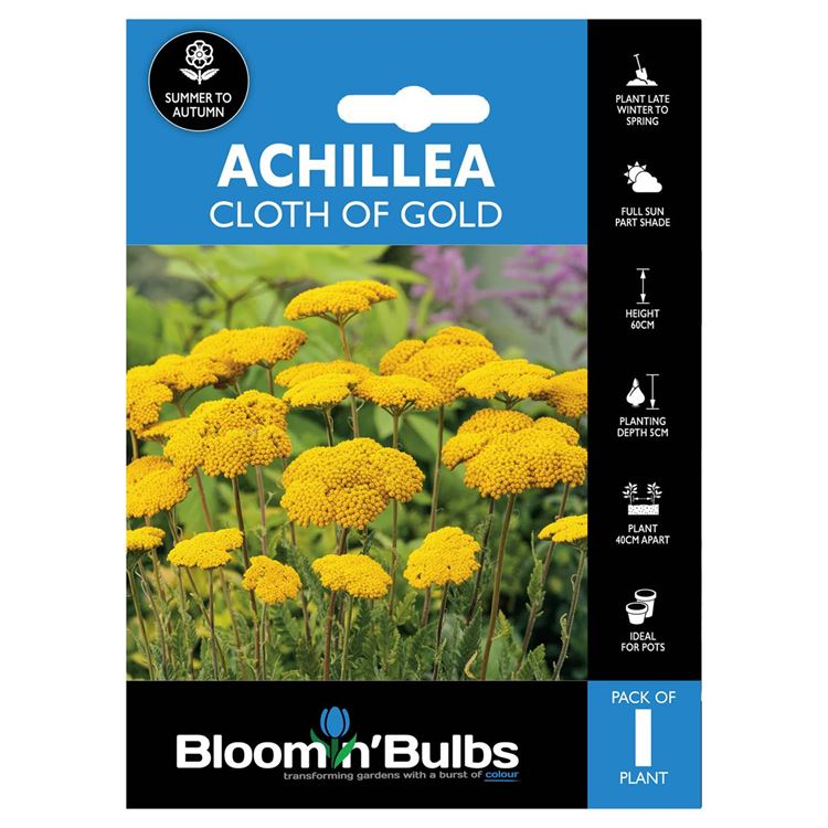 Bloomin Bulbs. Flower Bulbs