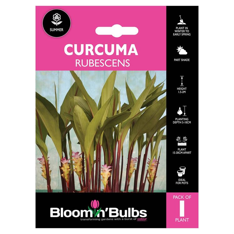 Bloomin Bulbs. Flower Bulbs
