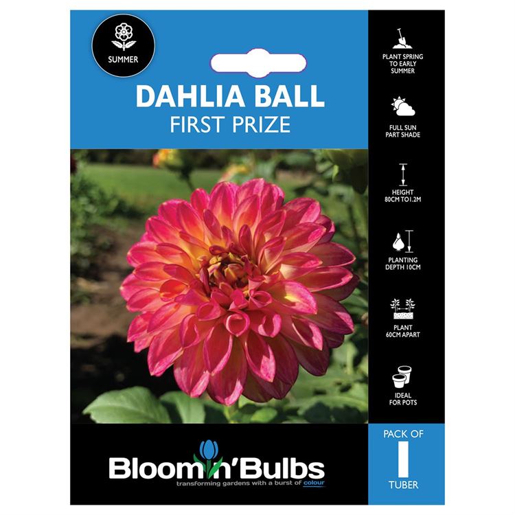 Bloomin Bulbs. Flower Bulbs