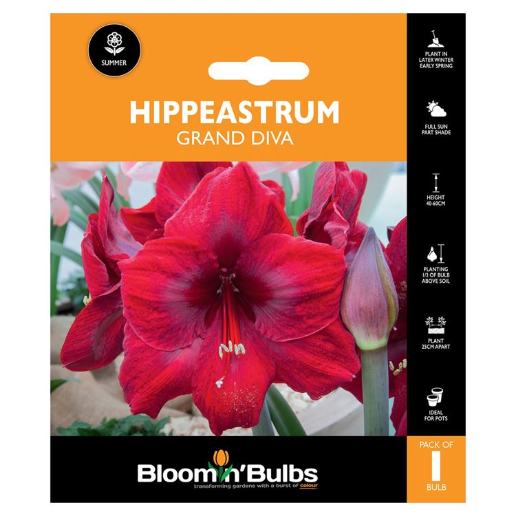Bloomin Bulbs. Flower Bulbs
