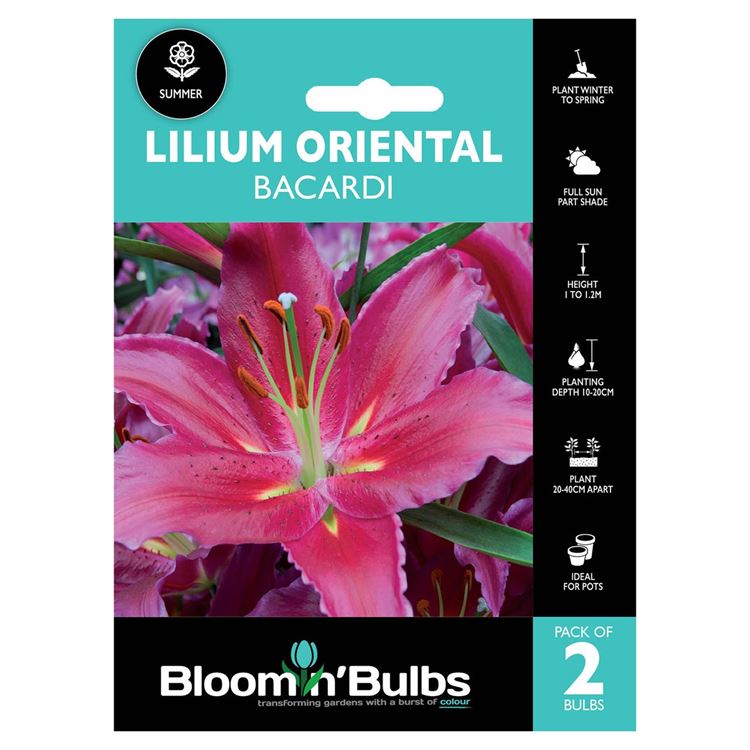 Bloomin Bulbs. Flower Bulbs