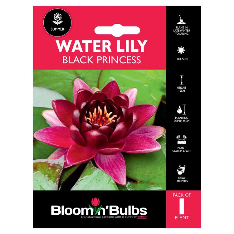 Bloomin Bulbs. Flower Bulbs