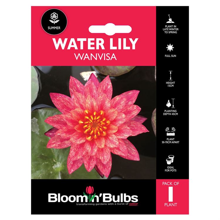 Bloomin Bulbs. Flower Bulbs
